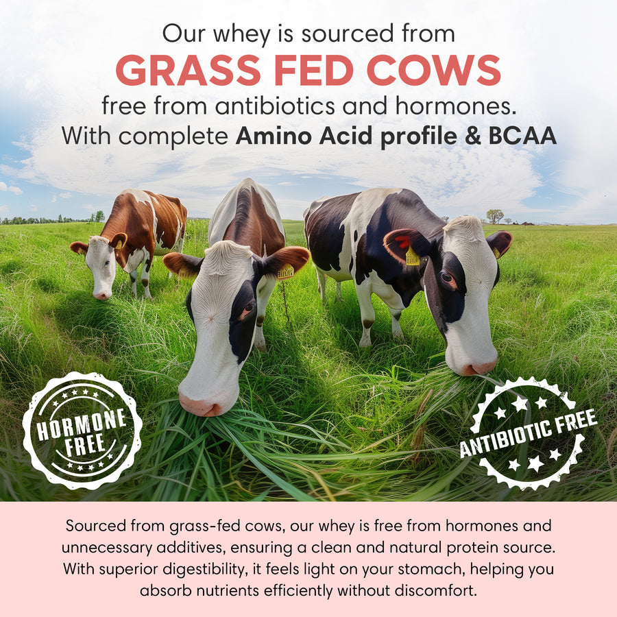 Whey Proteins – foodstrong